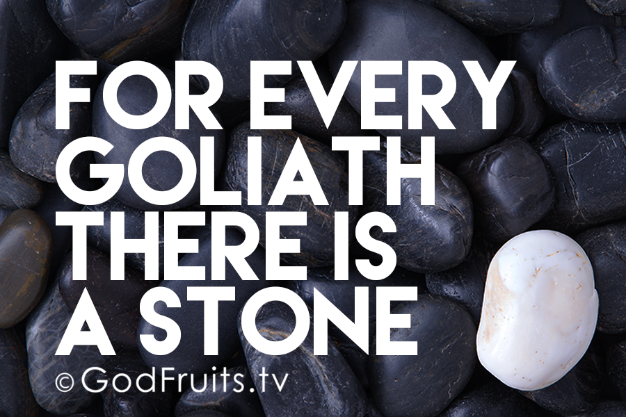 *Stone for Goliath – Inspirational Christian Blogs